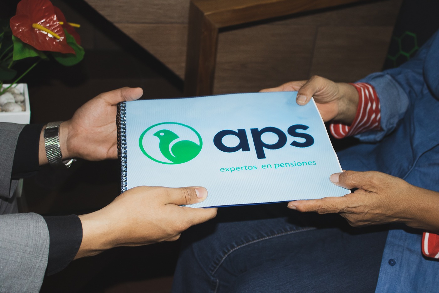 Partners & Businesses